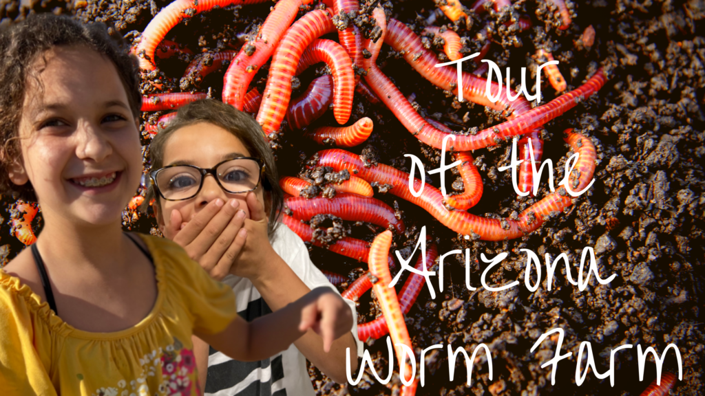 THE GIRLS TOOK A TOUR OF THE ARIZONA WORM FARM - Freedom Forest Farm